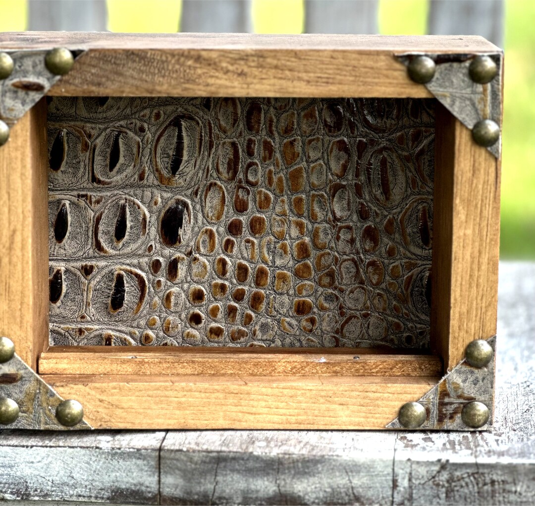 Single Belt Buckle Display Case - Etsy