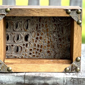 Single Belt Buckle Display Case - Etsy