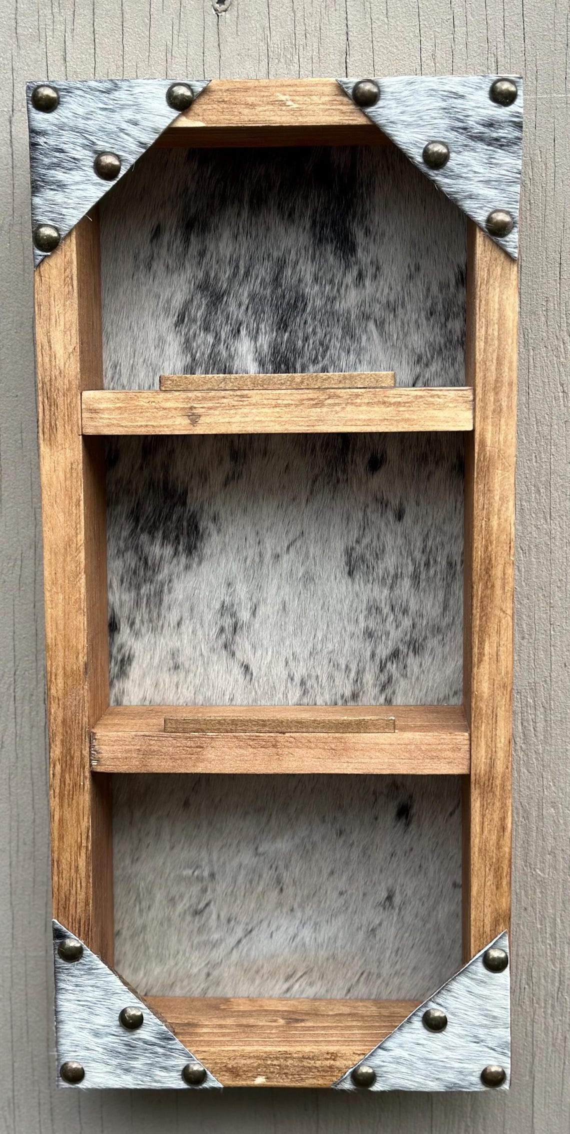 Trophy Buckle Case Holds 3 - Etsy