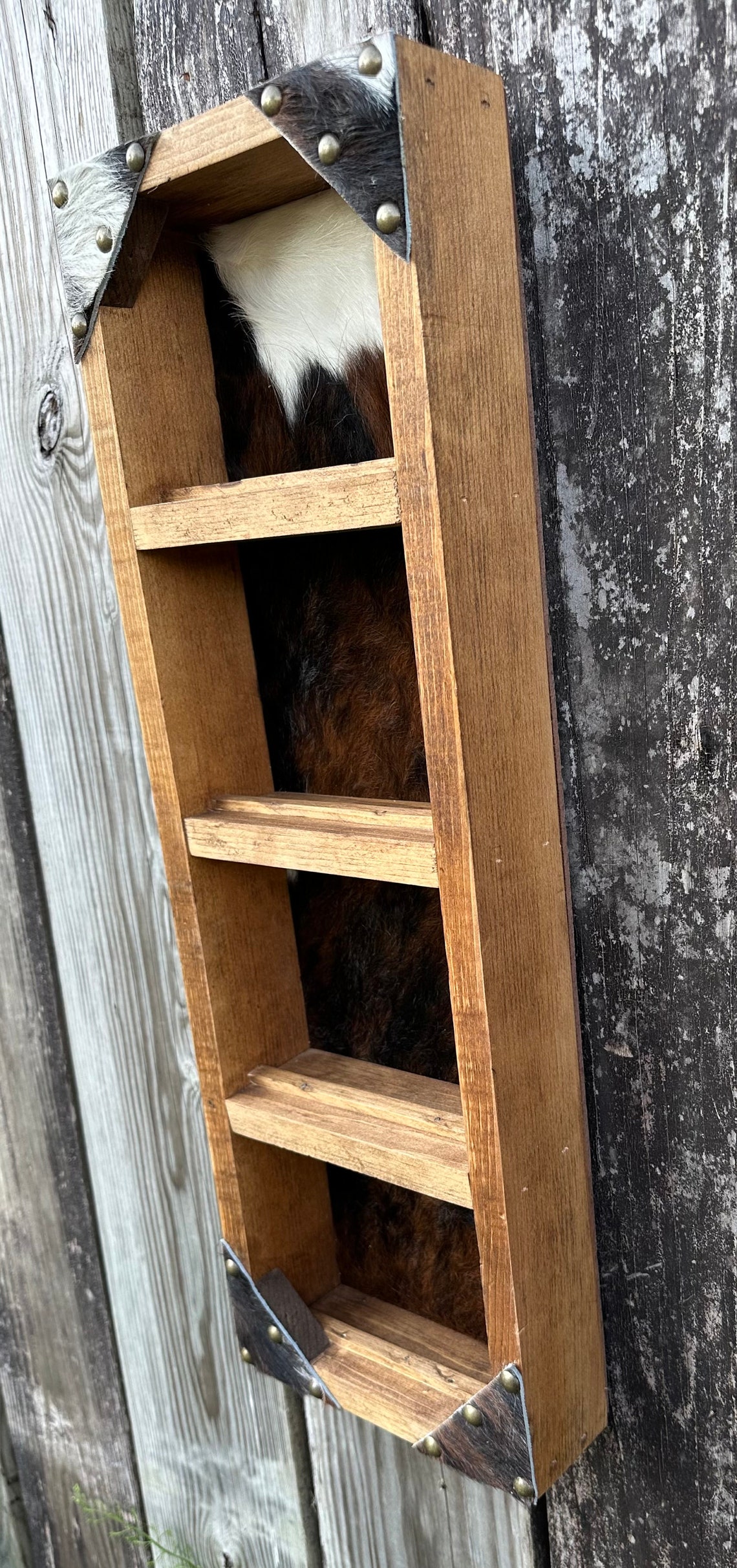 Trophy Buckle Case - Etsy