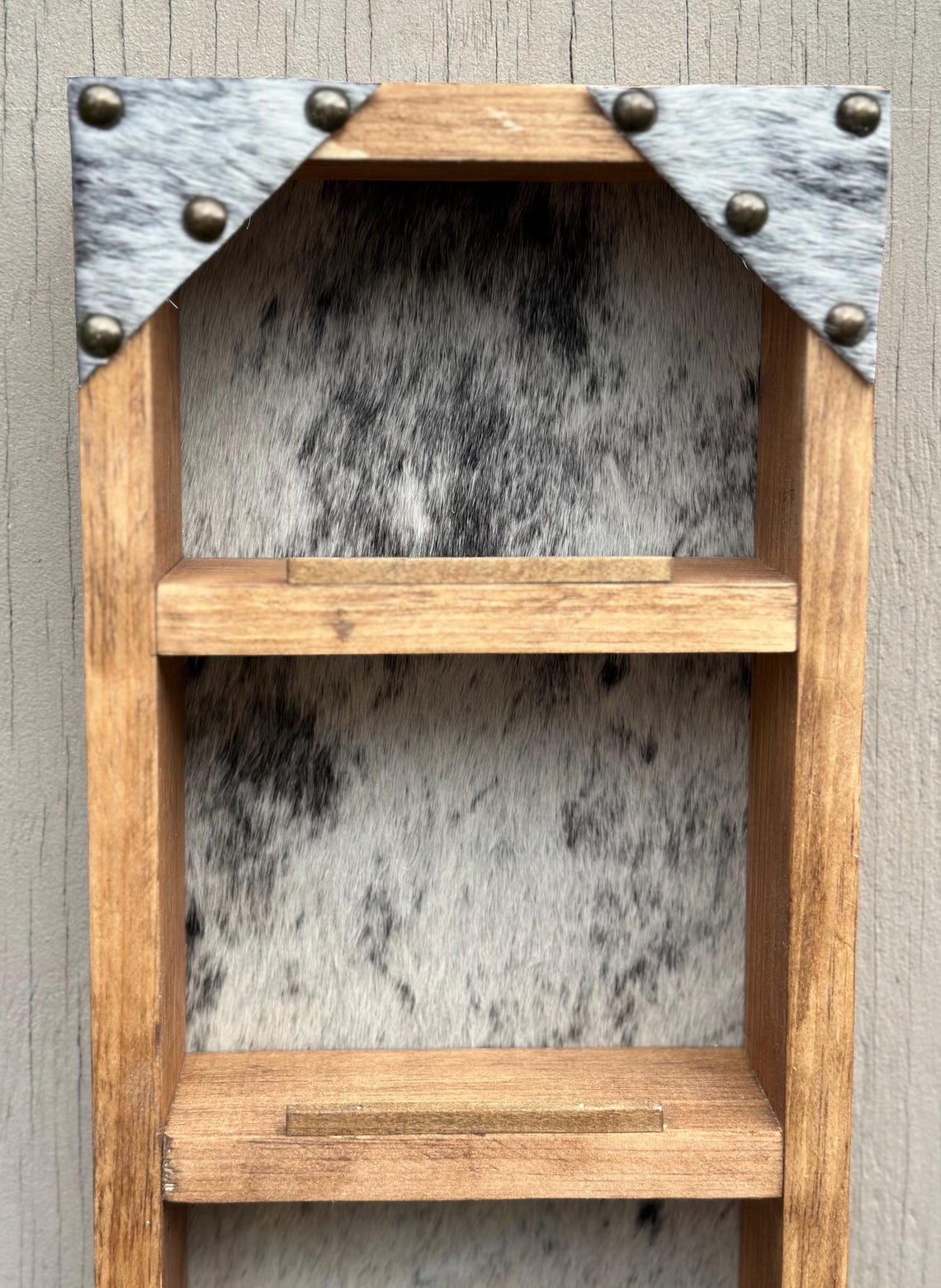 Trophy Buckle Case Holds 3 - Etsy