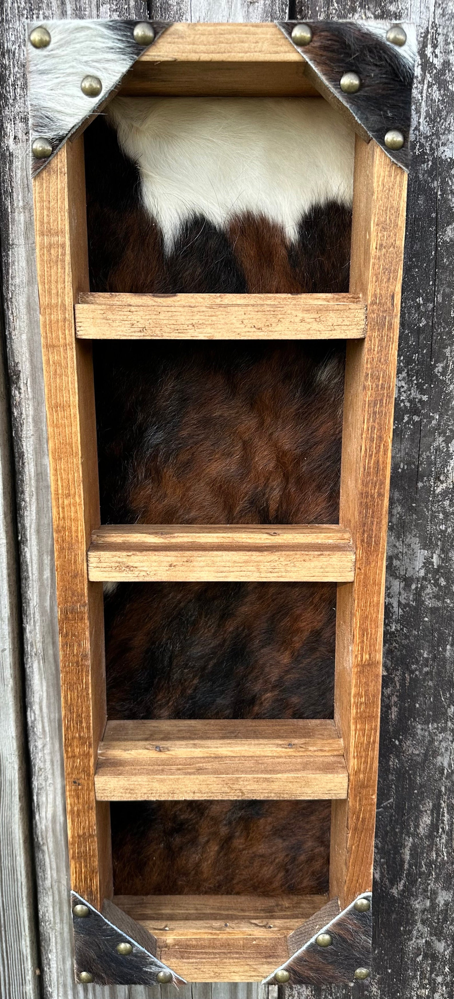 Trophy Buckle Case - Etsy