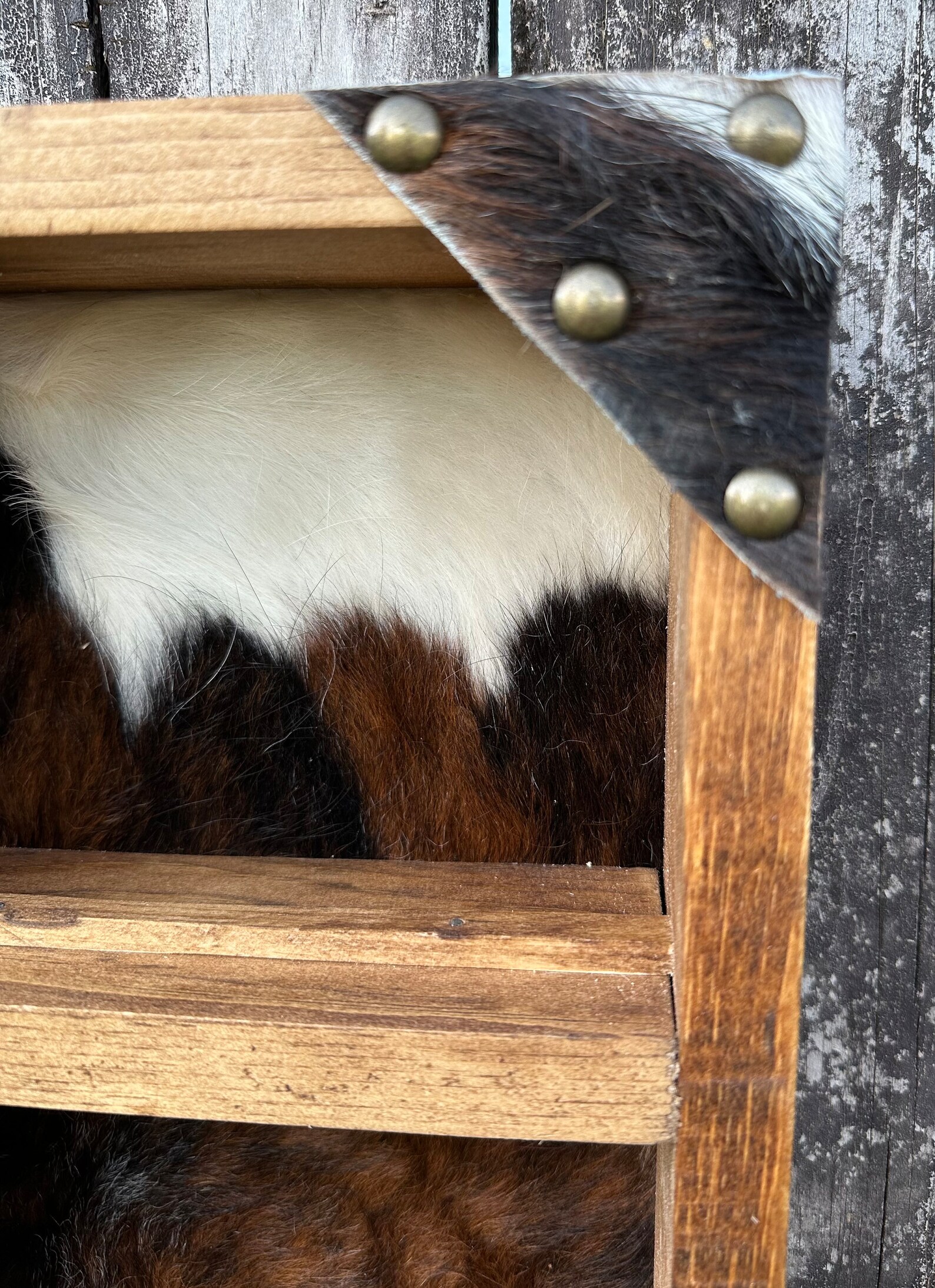 Trophy Buckle Case - Etsy