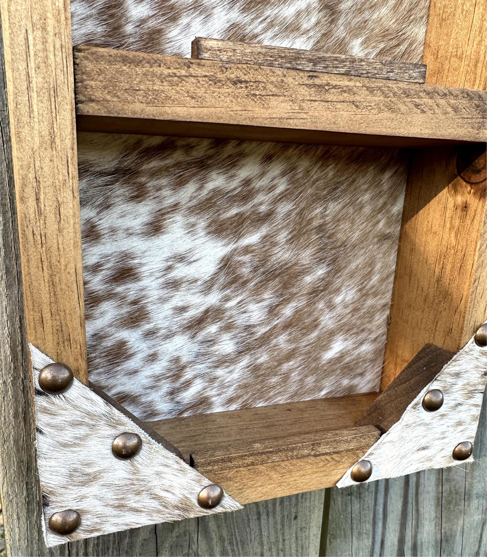 Trophy Buckle Case Holds Four Red and White Speckled Cowhide - Etsy