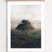 Wish Tree Poster - Etsy