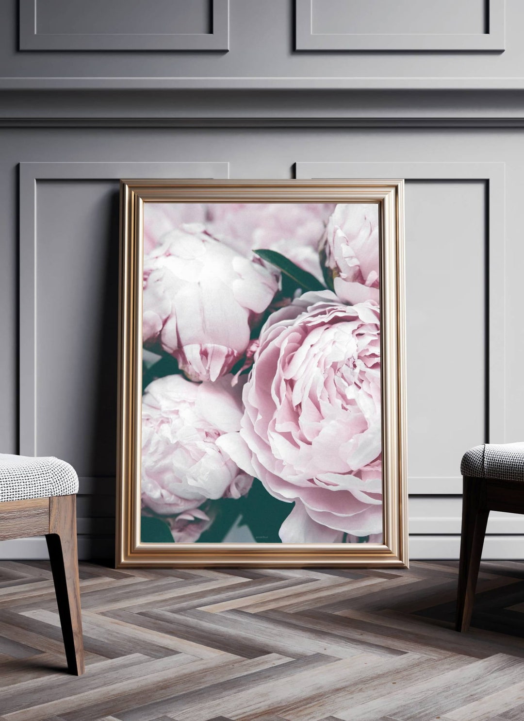 Powder Peonies Poster - Etsy