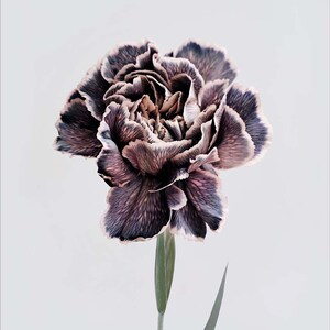 Violet Perfection Poster - Etsy