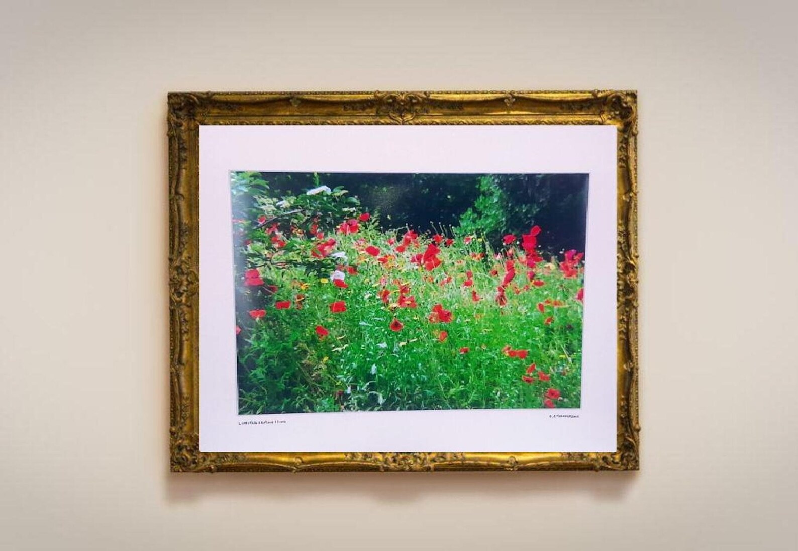 A3 Poppy Field Poppies Photograph Norfolk Countryside - Etsy