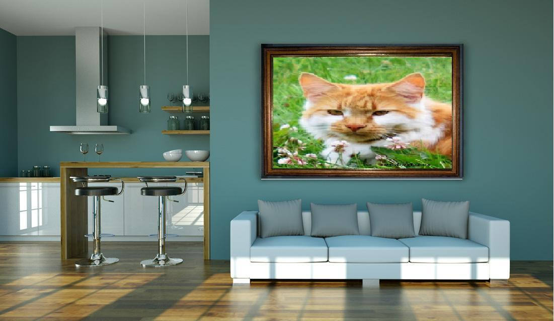 Cat Print, Pet Print, Cat Photograph, Color Photograph, Pet Photo, Pet ...