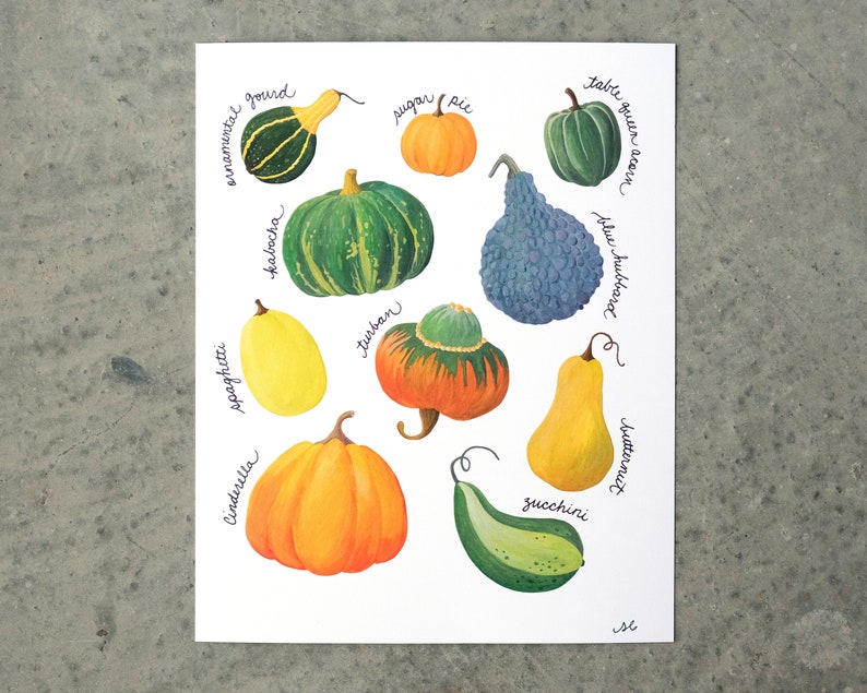 DIGITAL DOWNLOAD: Know Your Gourds Chart (8 X 10 Pumpkins, Gourds and ...