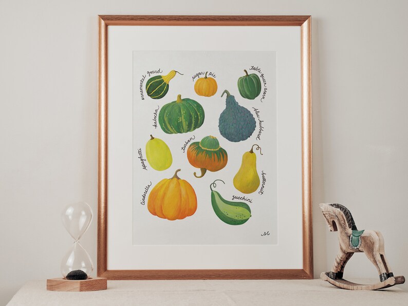 DIGITAL DOWNLOAD: Know Your Gourds Chart (8 X 10 Pumpkins, Gourds and ...