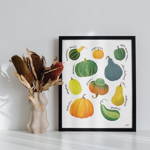 DIGITAL DOWNLOAD: Know Your Gourds Chart (8 X 10 Pumpkins, Gourds and ...