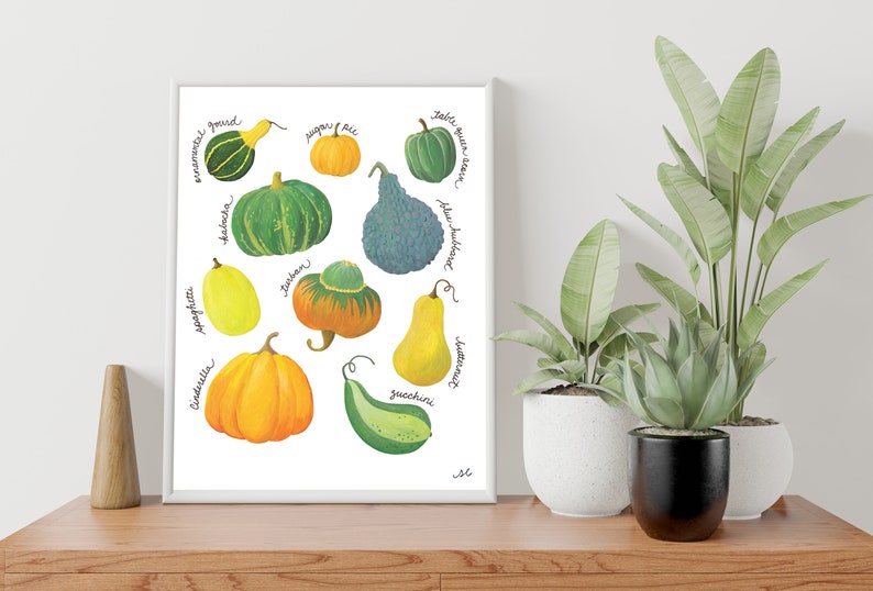 DIGITAL DOWNLOAD: Know Your Gourds Chart (8 X 10 Pumpkins, Gourds and ...