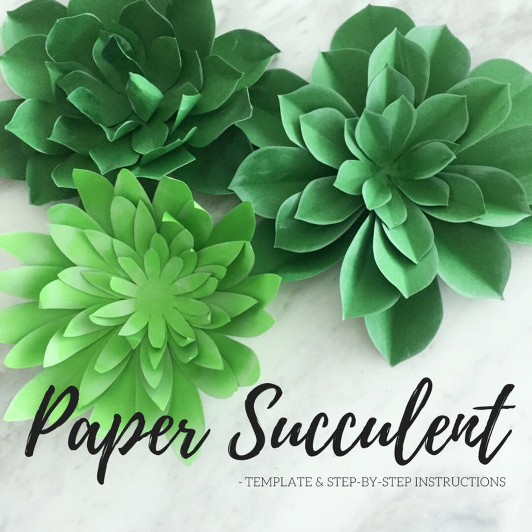 Paper Succulent | Plant Template | Succulent Template | Plate Flower ...