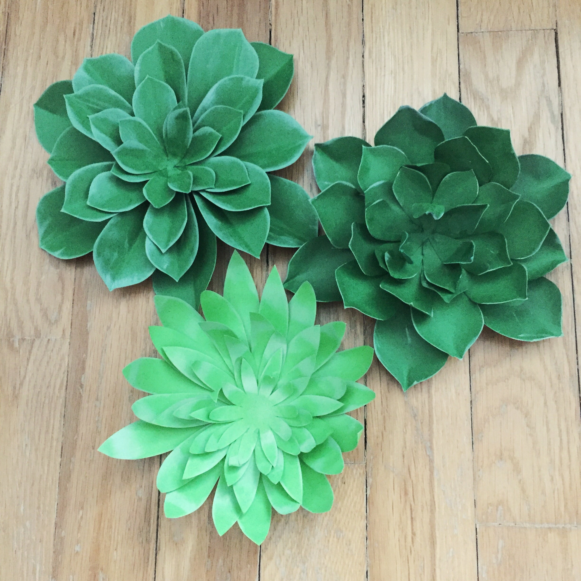 Paper Succulent Plant Template Succulent Template Plate | Etsy