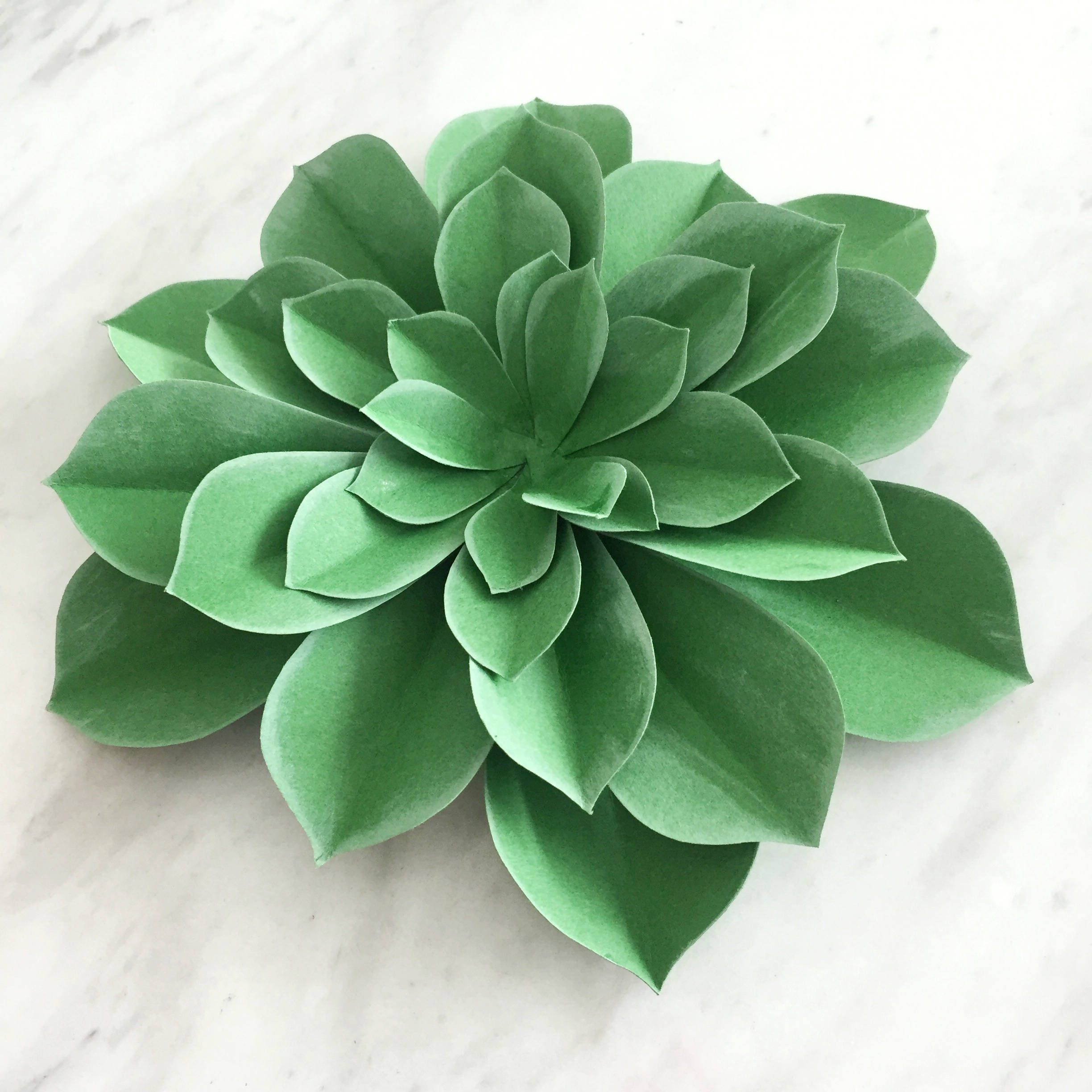 Paper Succulent Plant Template Succulent Template Plate - Etsy