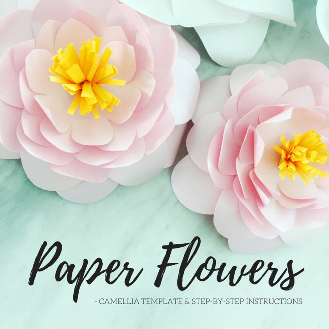 Paper Camellia Template Flower Template Paper Flower Backdrop Flower ...
