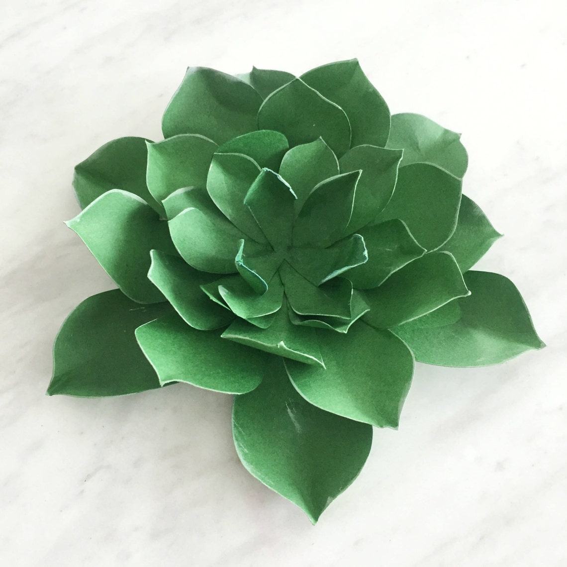 Paper Succulent Plant Template Succulent Template Plate | Etsy Singapore