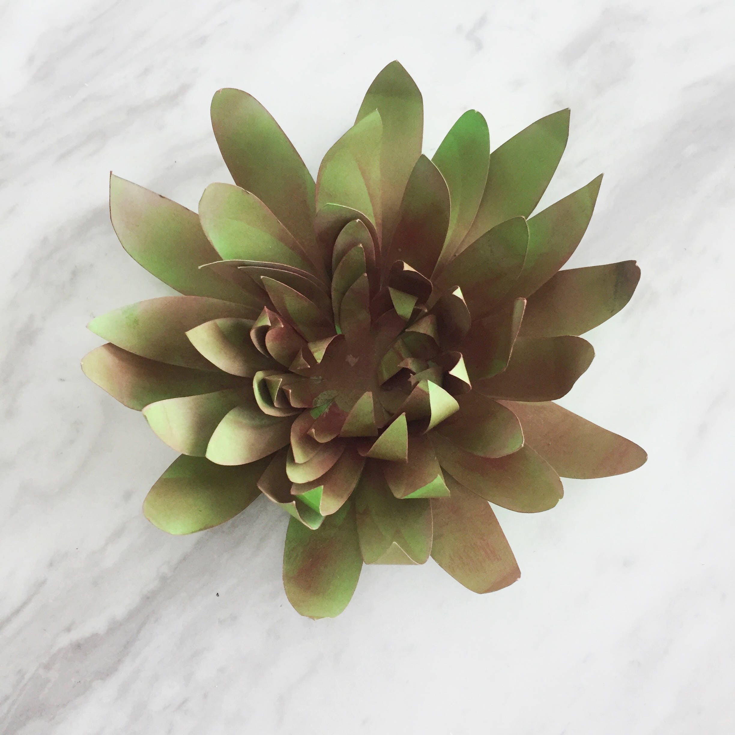 Paper Succulent Plant Template Succulent Template Plate | Etsy