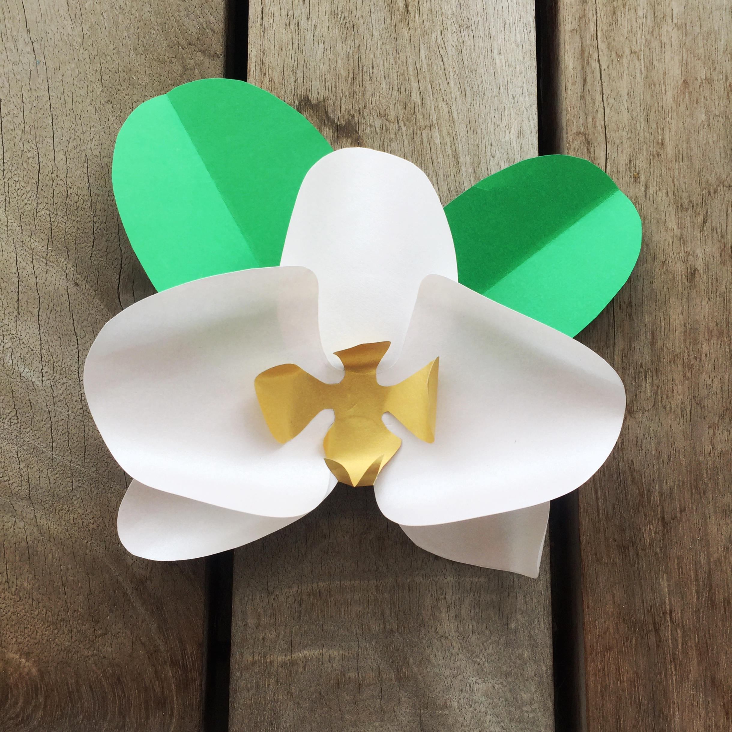 Paper Flower Template | Paper Orchid Template | Flower Template | Paper ...