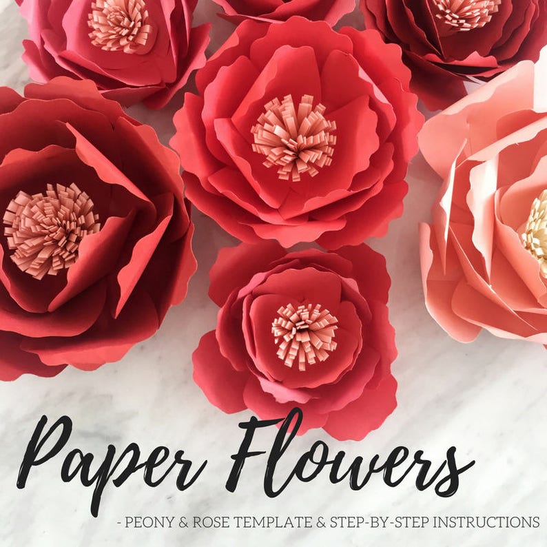 Paper Flower Template Paper Peony Giant Paper Flower Etsy