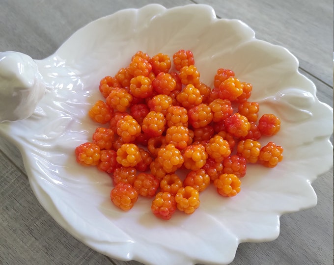 Baby Whelk Shell 3mm 5mm Tiny Lightning Whelk Shells - Etsy