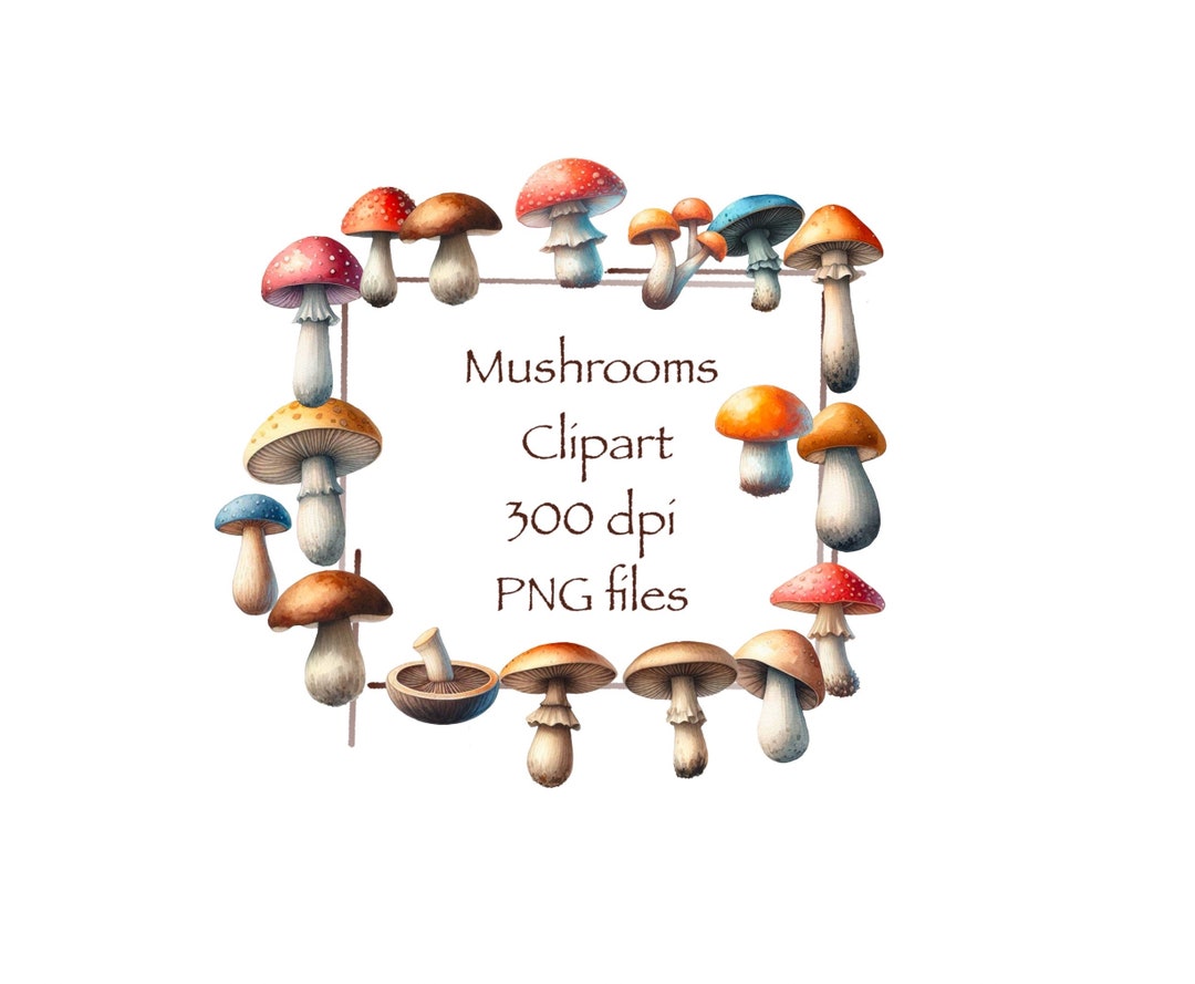 Digital Mushroom Clipart Watercolor Fungus Zip Files Download Only - Etsy