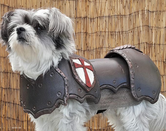 Cat Chainmail Vest - Etsy