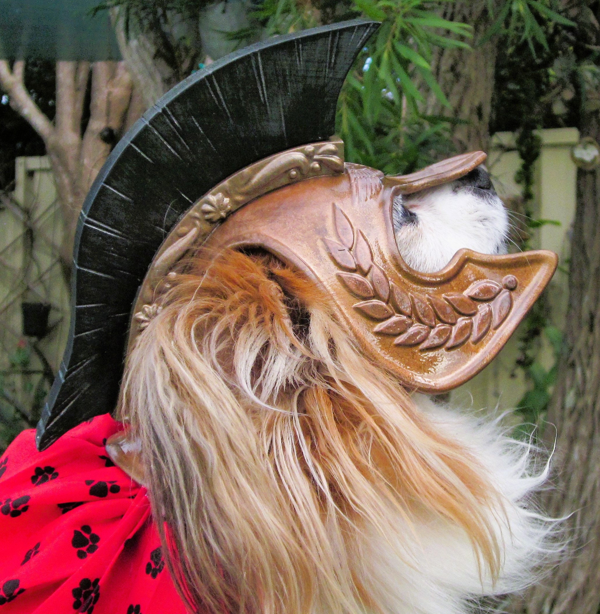 Spartan Dog Helmet STL File Dog Armor 3D Print Pet Cosplay Costume ...