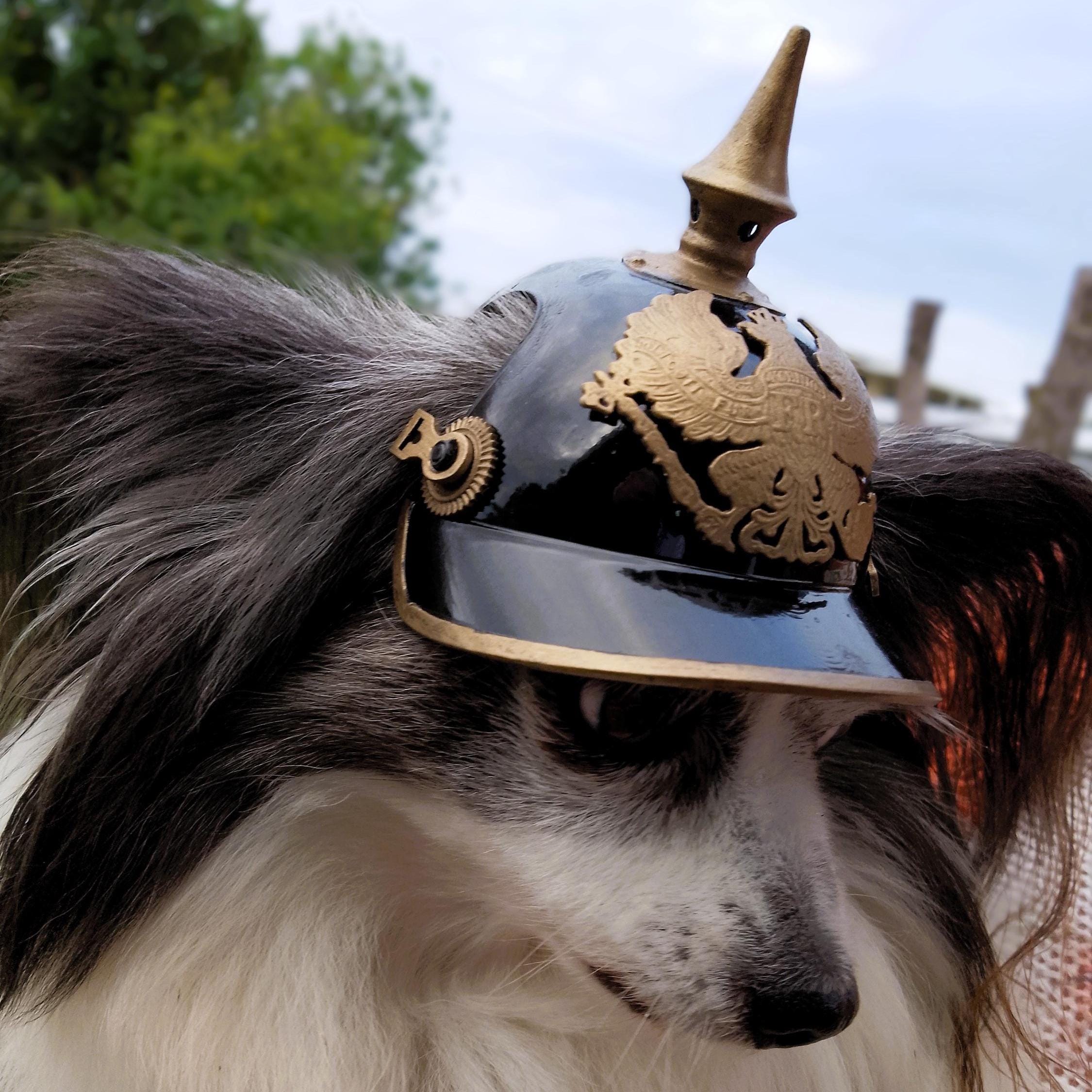 Dog Helmet STL Bundle 4 Helmet Collection Pack Viking Spartan Medieval ...
