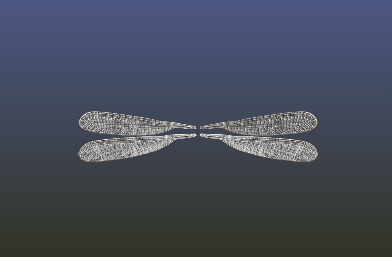 Dragonfly Wings . STL Files for 3D Printing. Digital Download ...