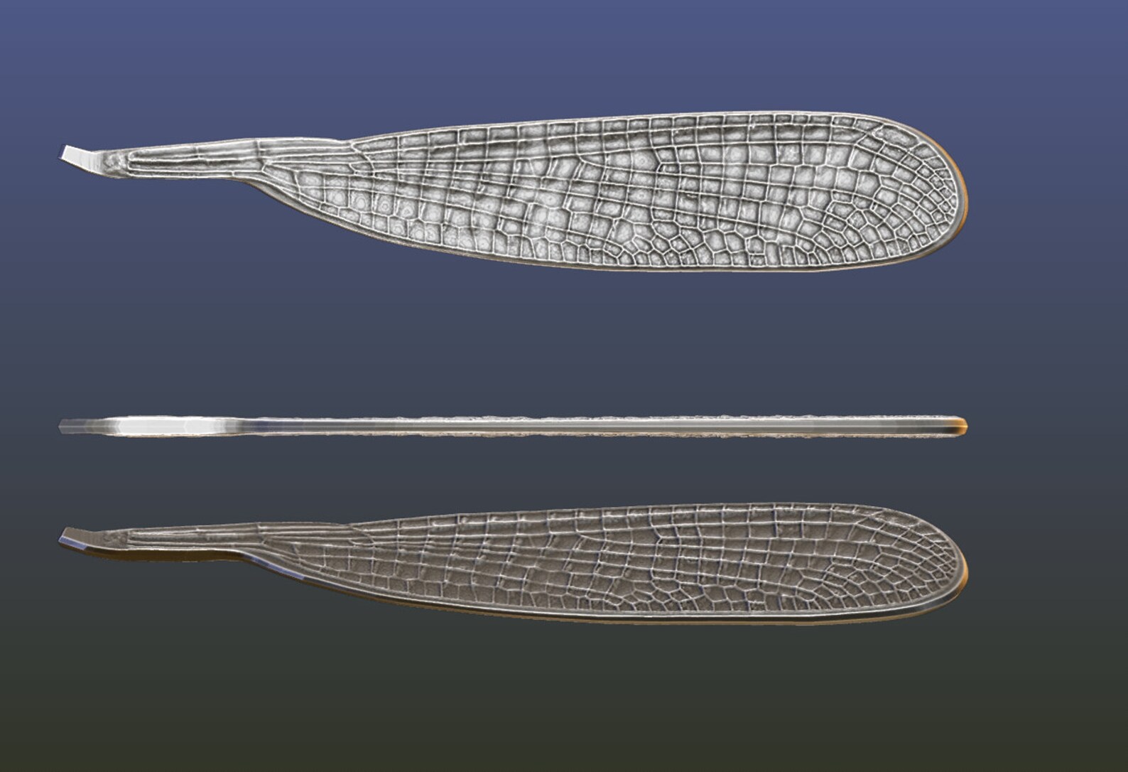 Dragonfly Wings . STL Files for 3D Printing. Digital Download ...