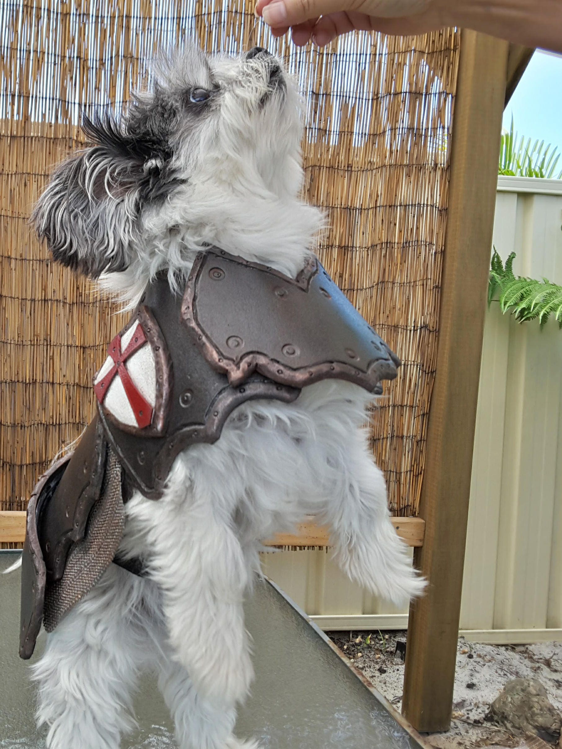 Dog Armor Costume Pattern: Cosplay Prop Template for EVA Foam (digital ...