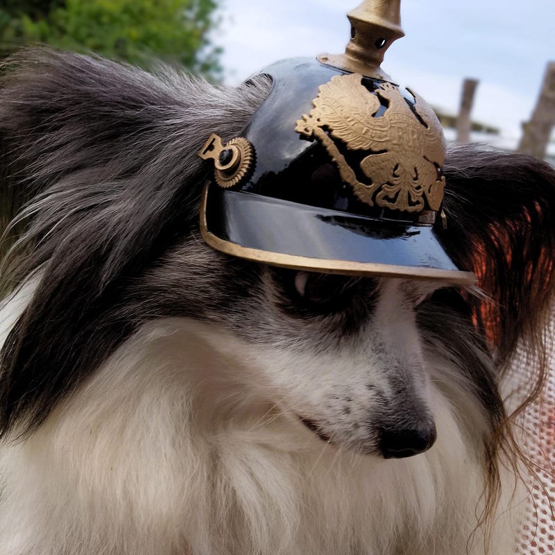 Dog Steel Armor - Etsy UK