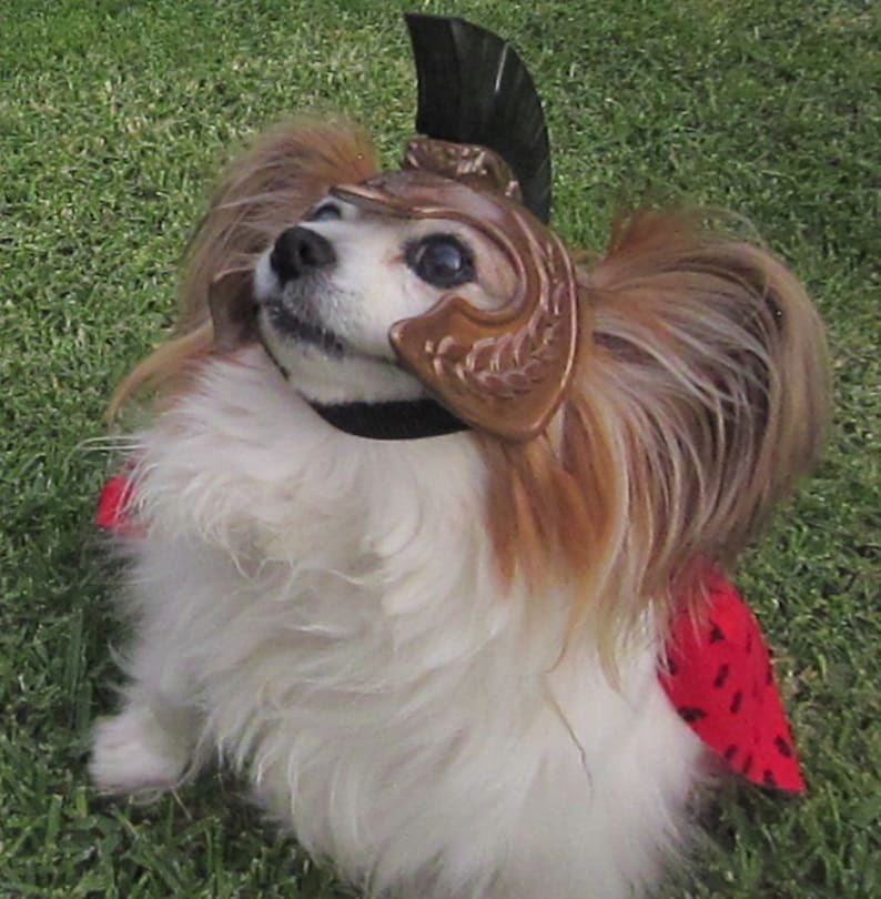 Spartan Dog Helmet STL File Dog Armor 3D Print Pet Cosplay Costume ...