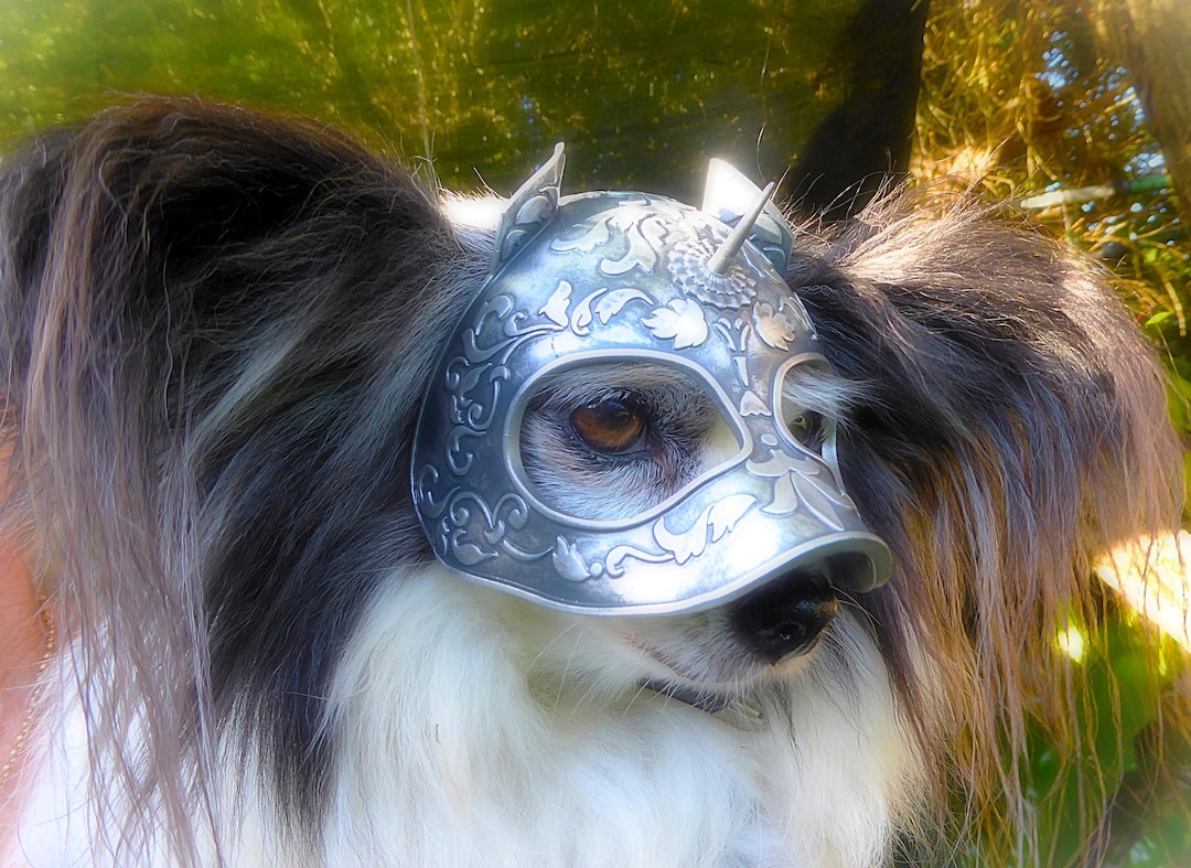 Medieval Dog Helmet STL File Knight Dog Armor 3D Print Pet Cosplay ...