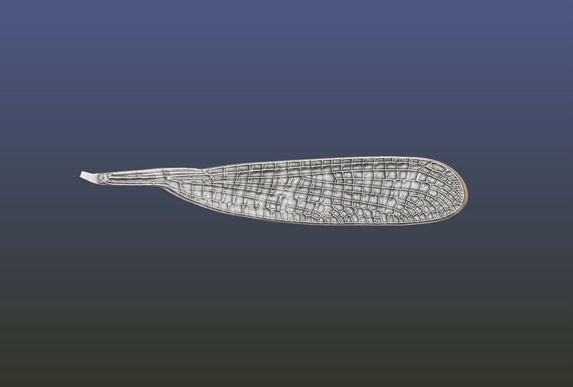 Dragonfly Wings . STL Files for 3D Printing. Digital Download ...
