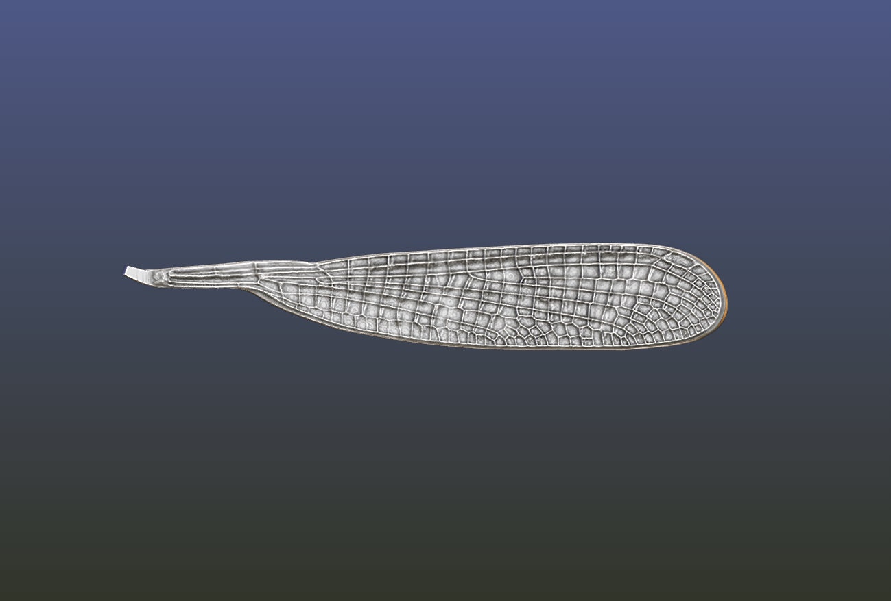 Dragonfly Wings . STL Files for 3D Printing. Digital Download ...