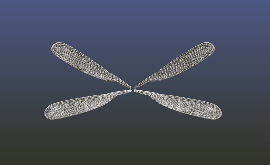 Dragonfly Wings . STL Files for 3D Printing. Digital Download ...