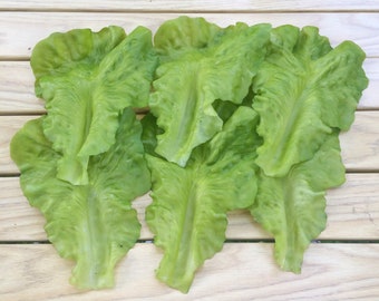 Fake Lettuce - Etsy