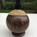 Natural Coconut Shell Bottle Liquid Dispenser Pump - Etsy
