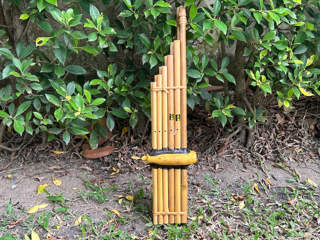 Thai Bamboo Khaen Isan Mouth Organ Musical Instrument for Kid, Beginner ...
