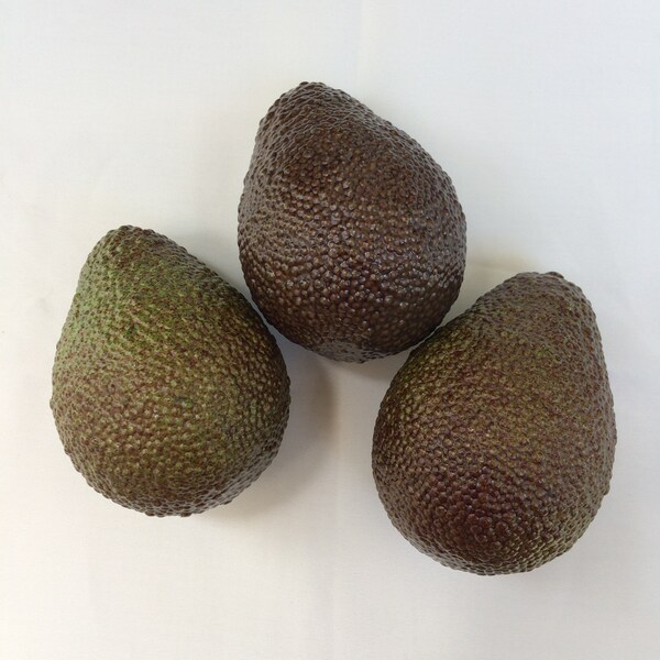 Fake Avocados - Etsy