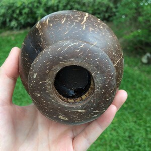Natural Coconut Shell Bottle Liquid Dispenser Pump - Etsy