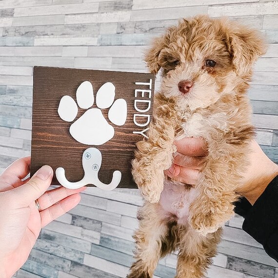 Pet Leash Holder Leash Hook Leash Hanger Leashes for - Etsy