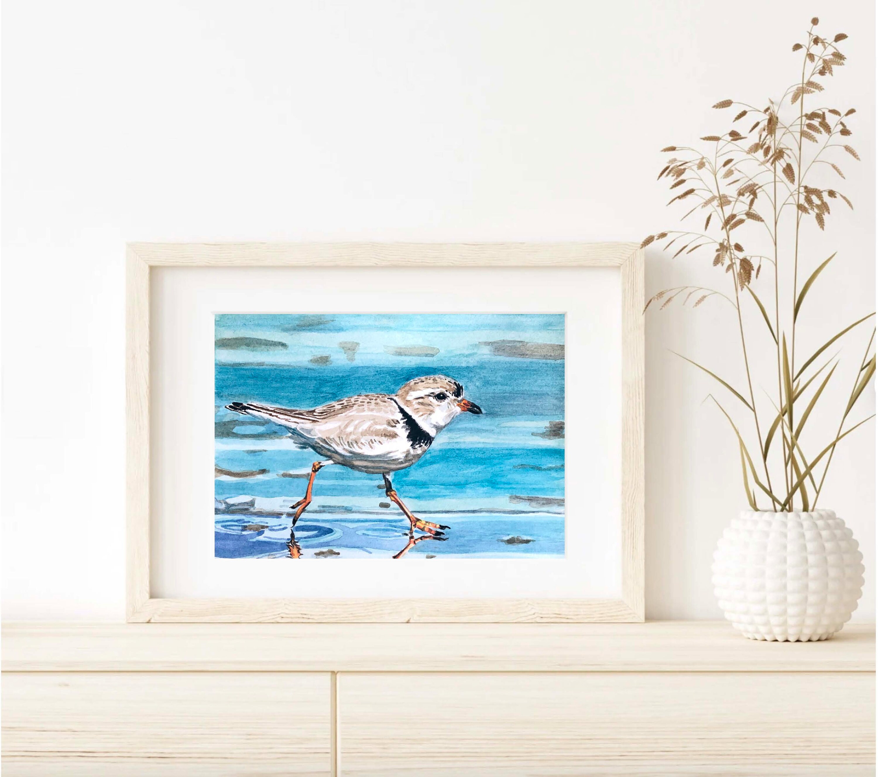 PIPING PLOVER Art Print, Watercolor Painting, Wall Art, Bird Decor - Etsy