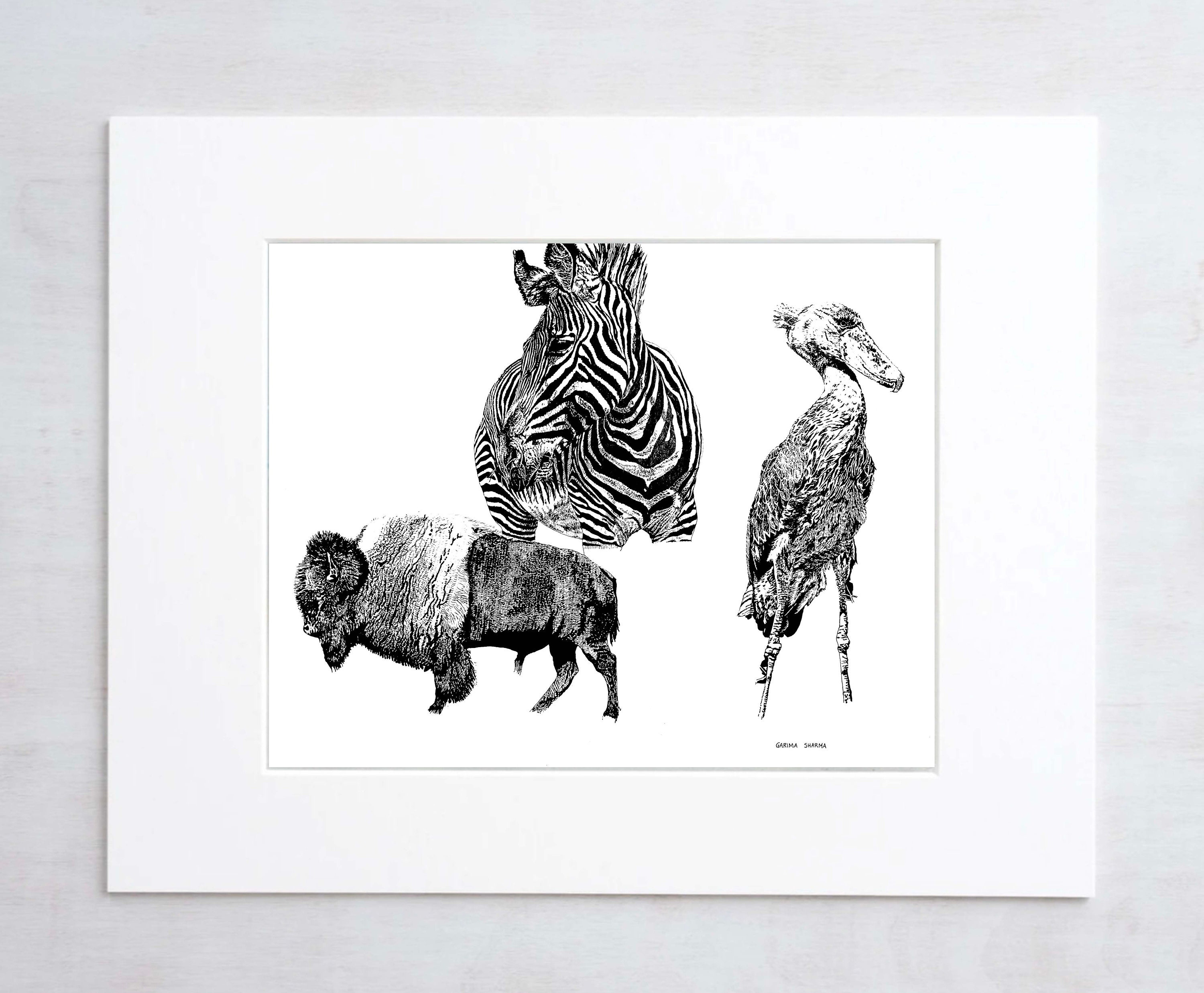 ZEBRA-SHOEBILL Stork-BISON Art Print 8x12 pulgadas dibujo a - Etsy España