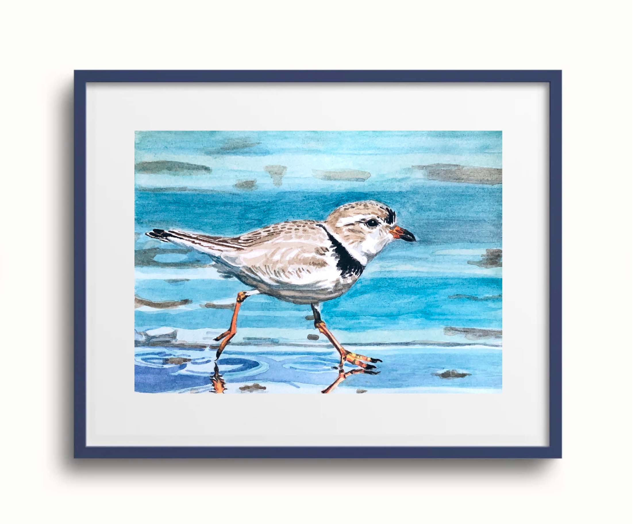 PIPING PLOVER Art Print, Watercolor Painting, Wall Art, Bird Decor - Etsy