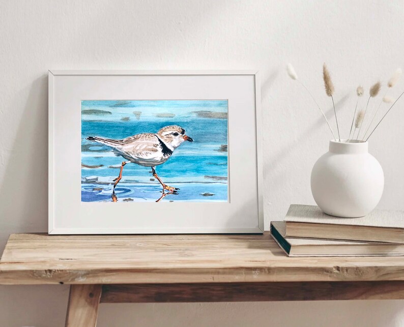 PIPING PLOVER Art Print, Watercolor Painting, Wall Art, Bird Decor - Etsy