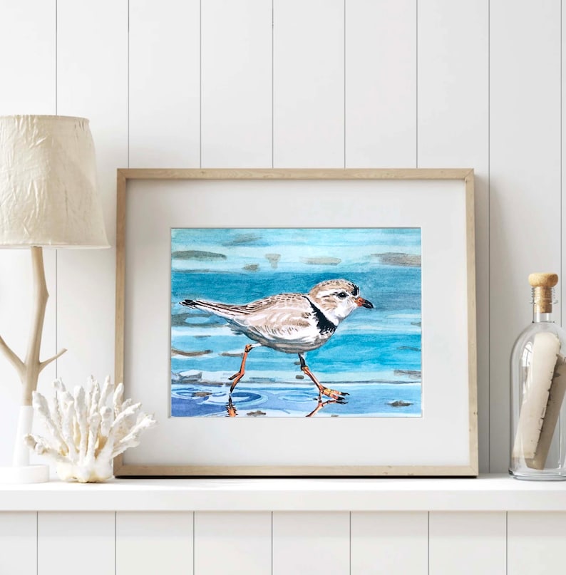 PIPING PLOVER Art Print, Watercolor Painting, Wall Art, Bird Decor - Etsy